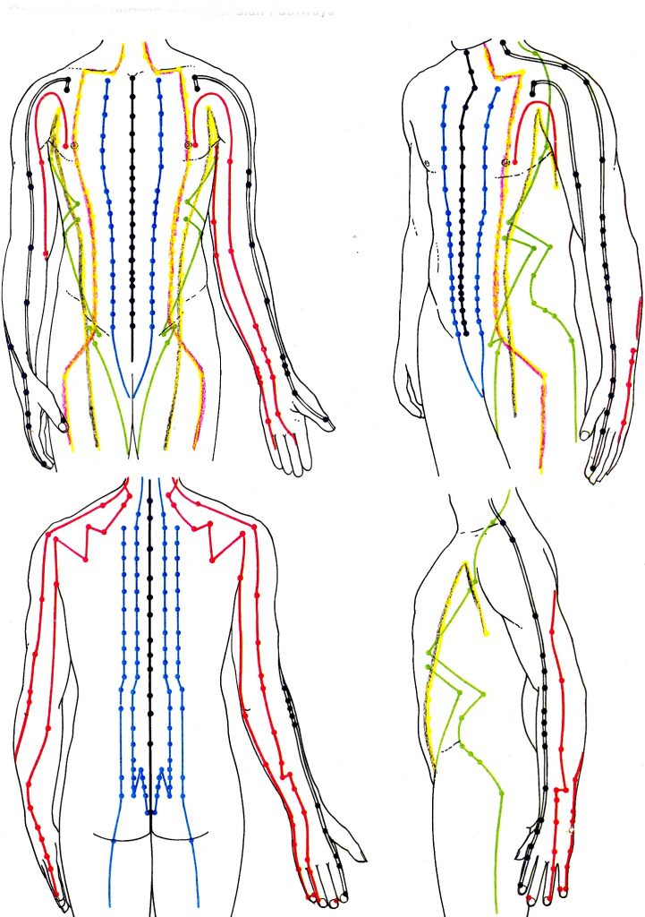 Meridianen – Karin-Care